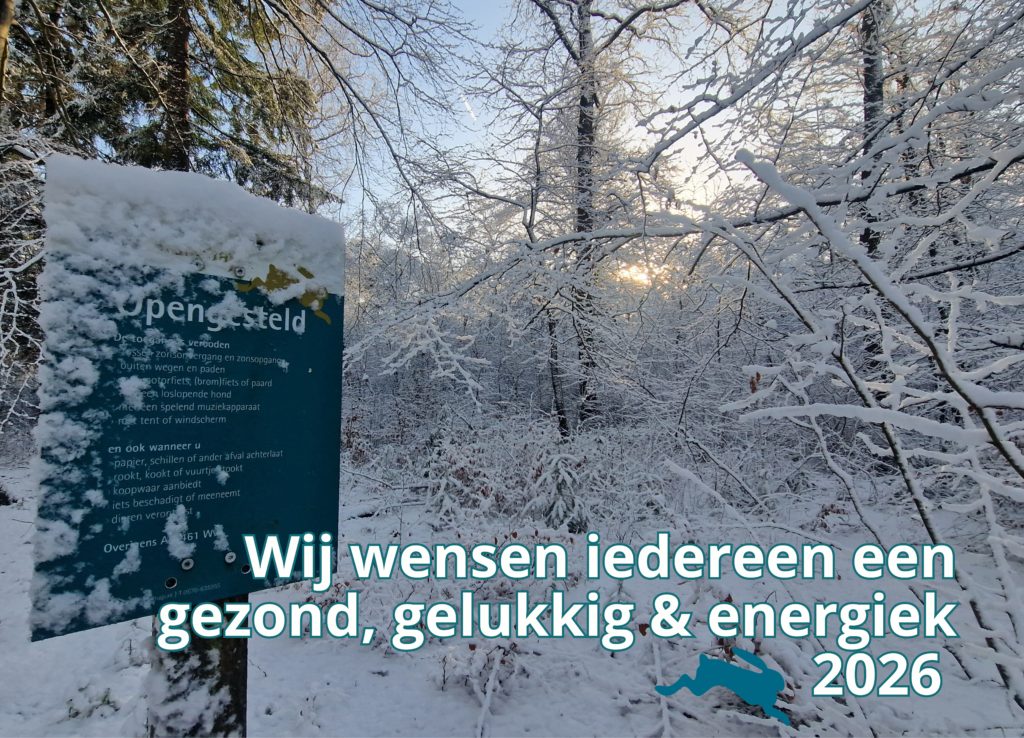 De beste wensen voor 2026! - ijssellandschap